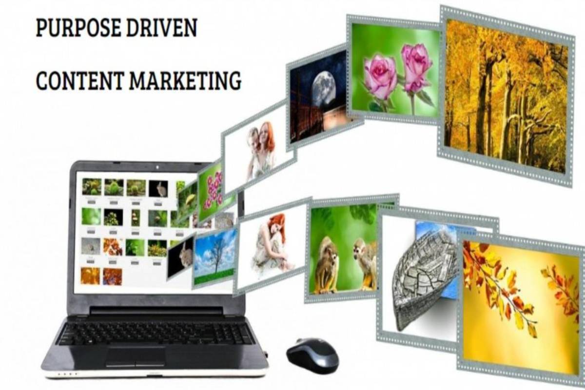 What is Purpose-driven Content Marketing? - Definition, Benefits